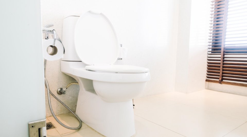 Toilets in Turkey: What Visitors Should Know