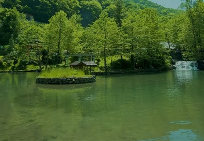 Sapanca Lake jeung Masukiye Tour | Gratis sareng Istanbul E-pass